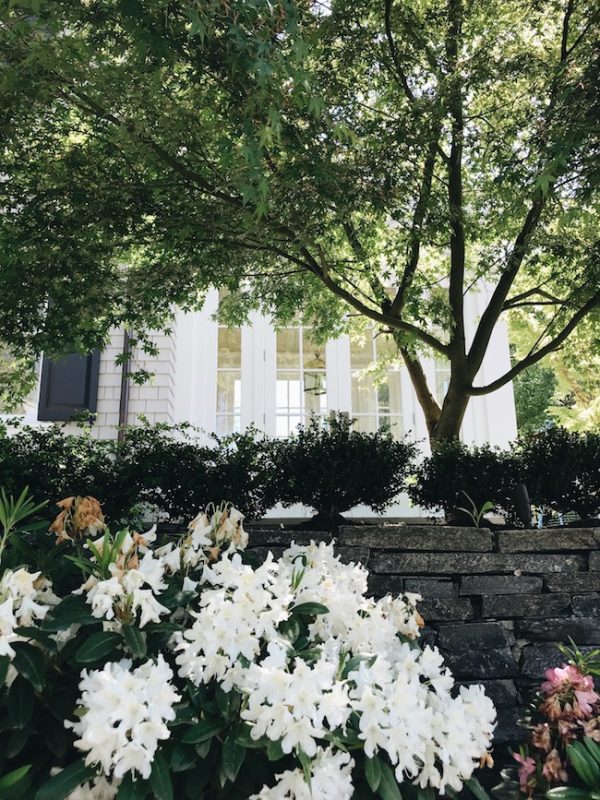 Drive By: Madison Park in Seattle - The Inspired Room