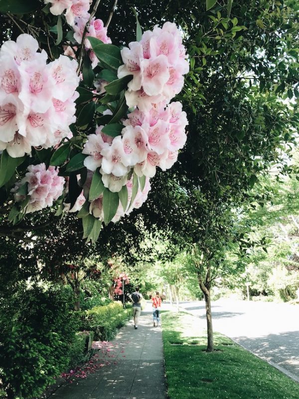 Drive By: Madison Park in Seattle - The Inspired Room
