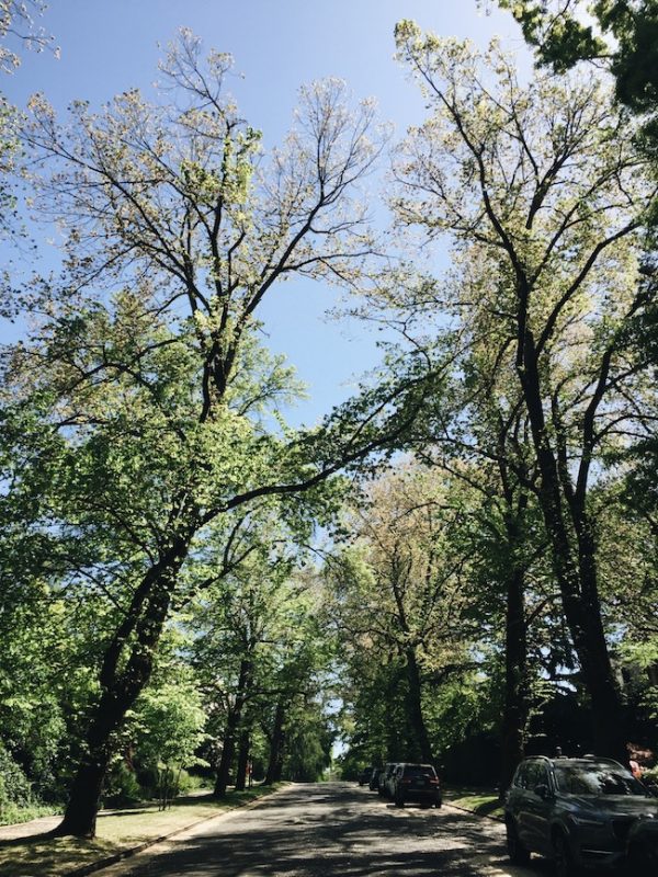 Drive By: Madison Park in Seattle - The Inspired Room