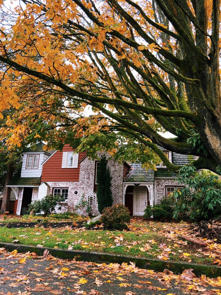 Autumn Drive By - Charming Seattle Neighborhoods - The Inspired Room