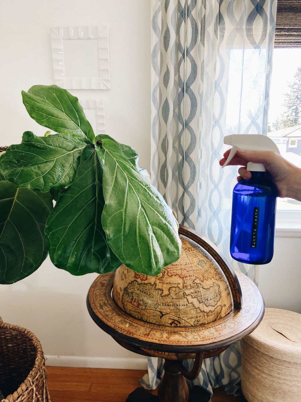 Happy Plant Spray for Your Home + Garden - The Inspired Room