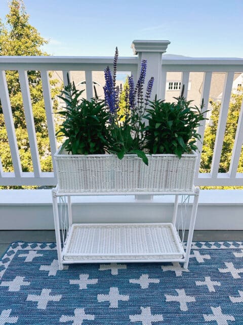 Our Small Deck Makeover for Summer (the reveal and the 6+ ways to use ...